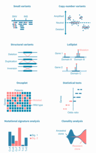 DNA测序数据分析 | Microbial bioinformatics
